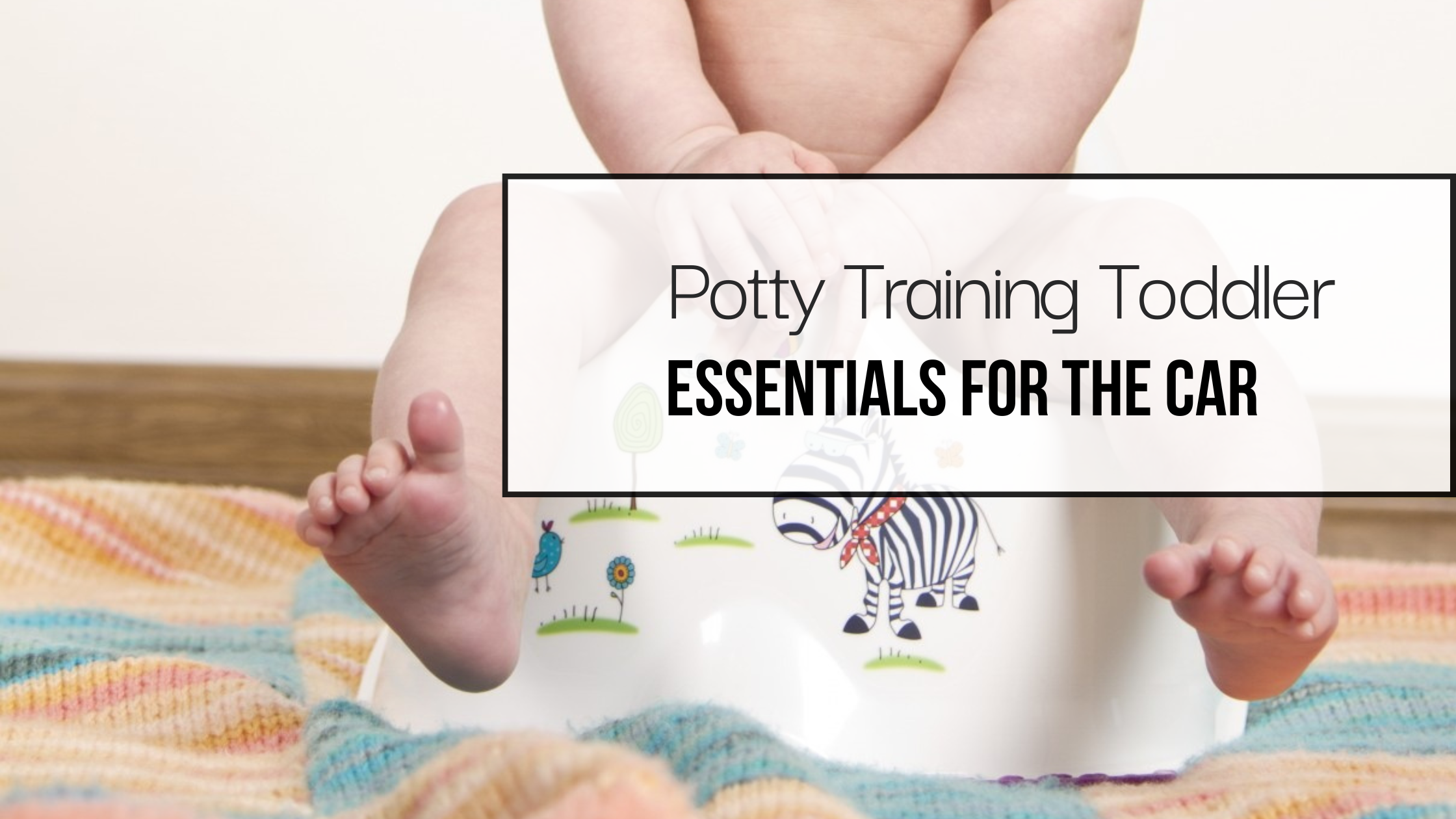 Potty Training. Essentials for the Car - One Thousand Treasures